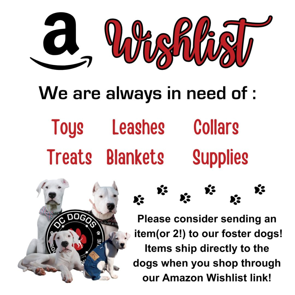 DC Dogos | Dogo Argentino Rescue Dogs for Adoption